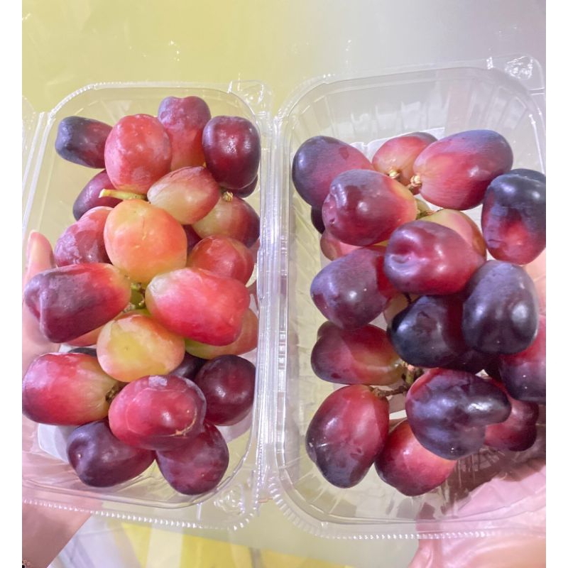 Jual MUSCAT Red | Buah Anggur Muscat merah per Pack | Shopee Indonesia