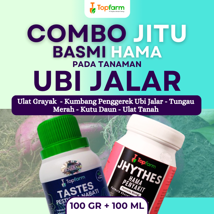 Jual Insektisida Topfarm / Obat Semprot Ubi Jalar / Obat Hama Ubi Jalar ...