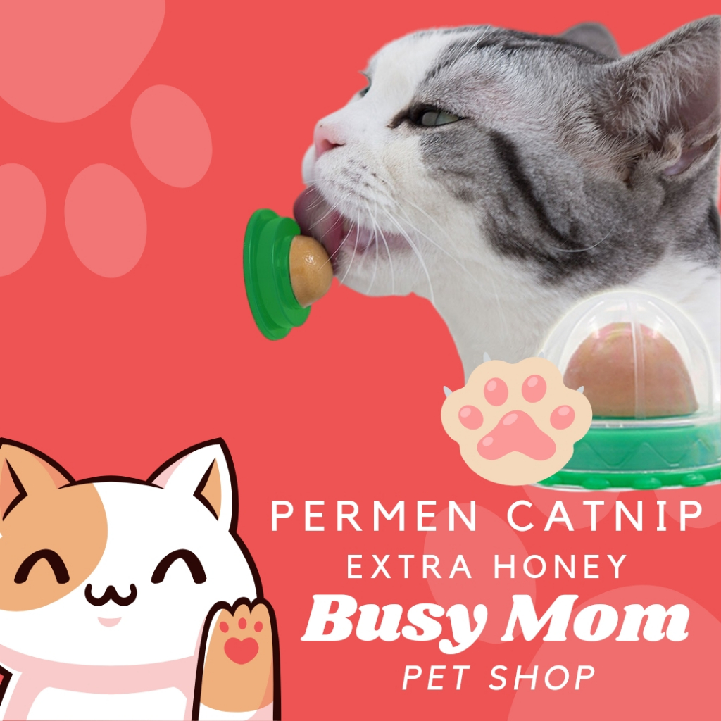 Jual Permen Catnip Madu Snack Kucing Suplemen Energi Multivitamin ...