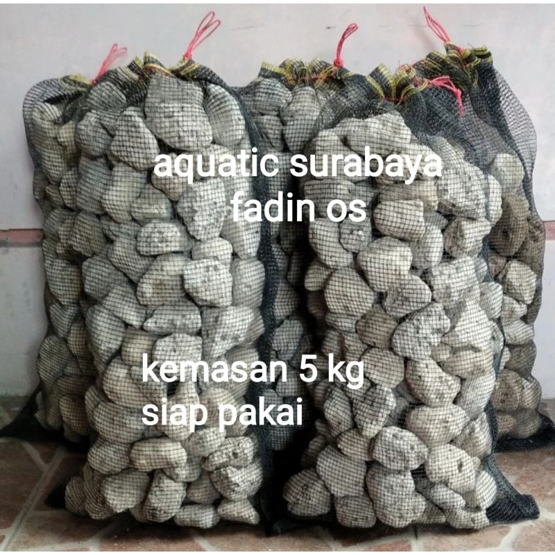 Jual BATU APUNG FILTER 5 KG + WARING/BATU APUNG FILTER AQUARIUM KOLAM ...