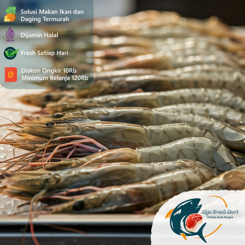 Jual [TERMURAH] Udang Sedang/Besar (450-500gr) | Shopee Indonesia
