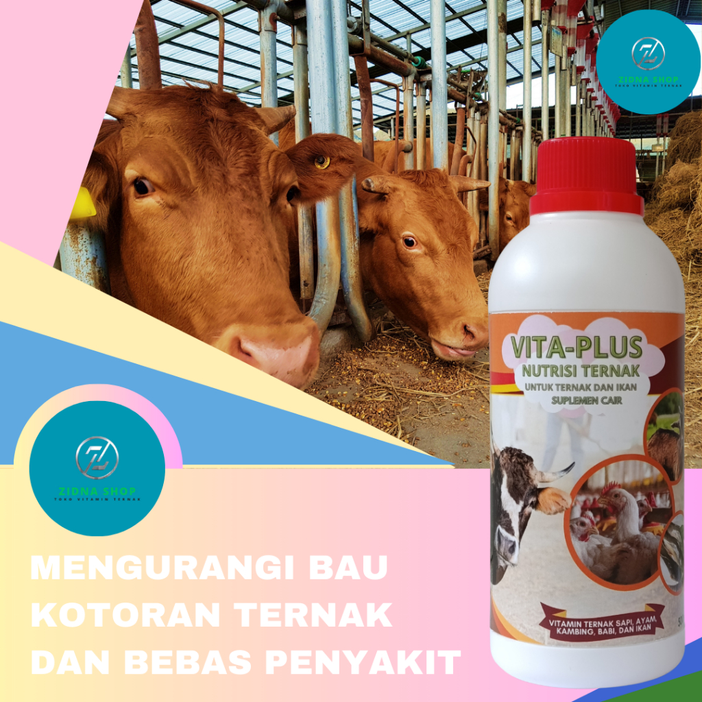 Jual Vitamin penggemuk hewan ternak sapi | vitamin sapi agar cepat ...