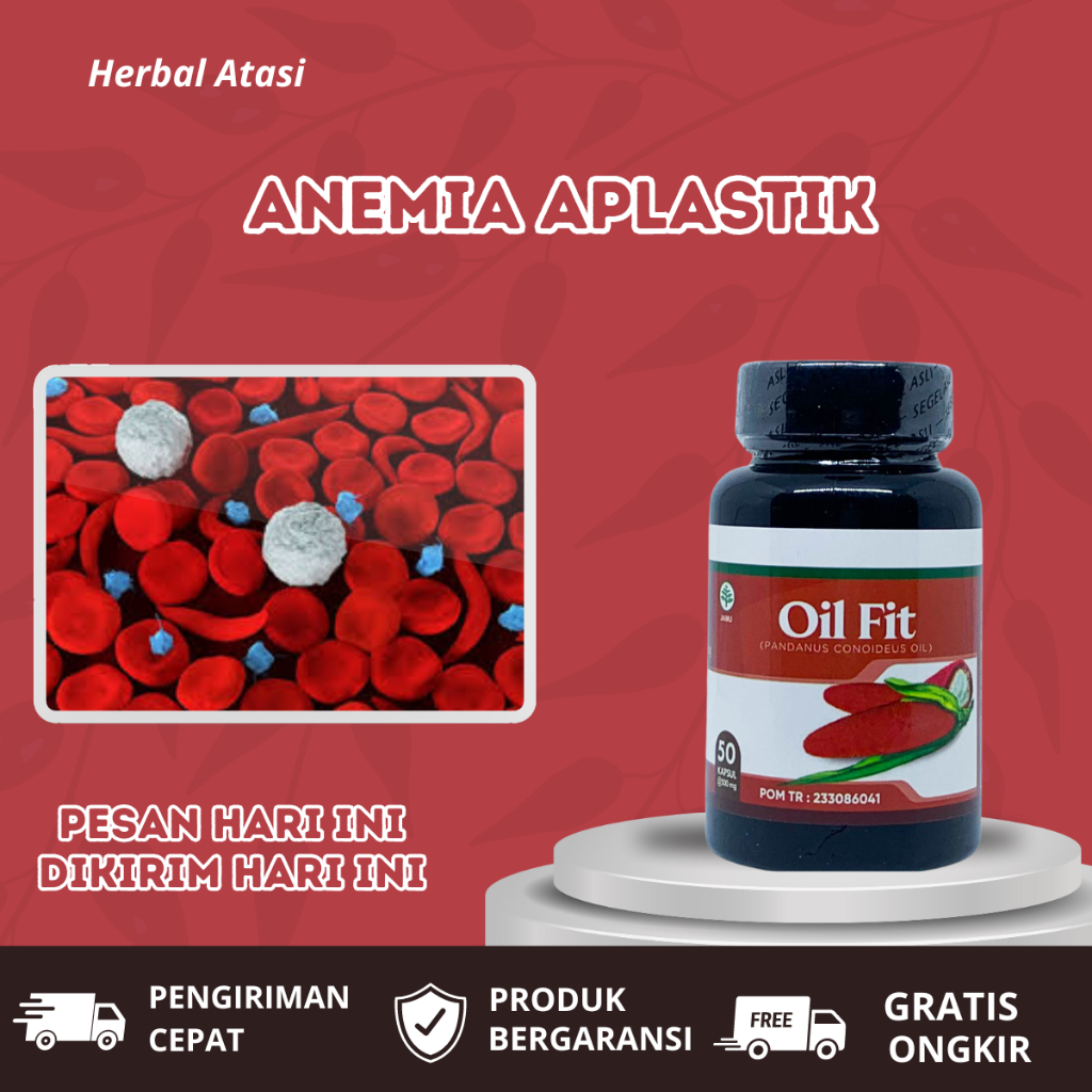 Jual Obat Untuk anemia kurang darah HB rendah trombosit rendah ...