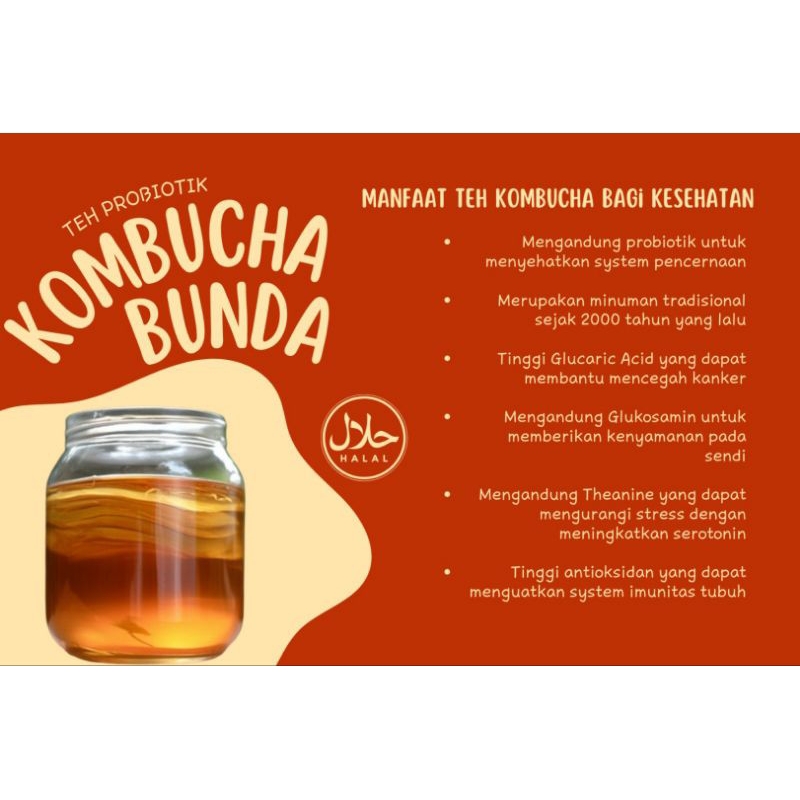 Jual minuman probiotik teh fermentasi kombucha 250ml | Shopee Indonesia