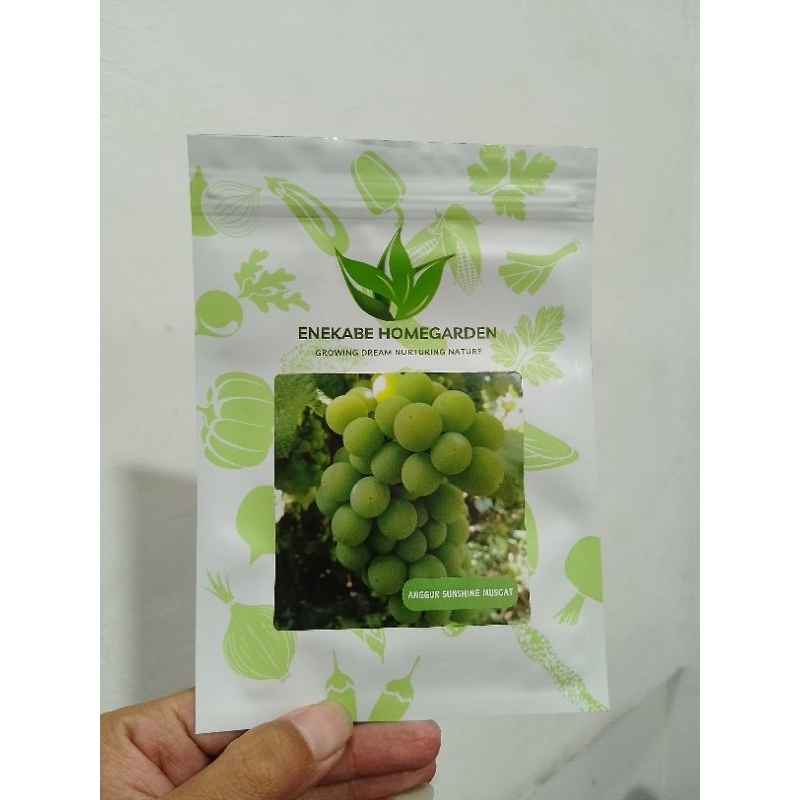 Jual BENIH ANGGUR SUNSHINE MUSCAT | Shopee Indonesia