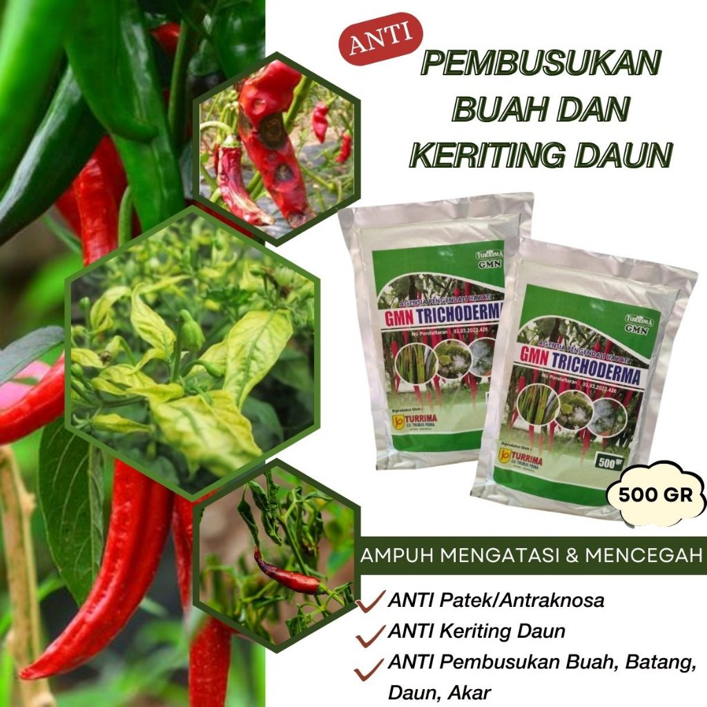 Jual Trichoderma Fungisida Agensi Hayati, Tricoderma Pembasmi Jamur ...