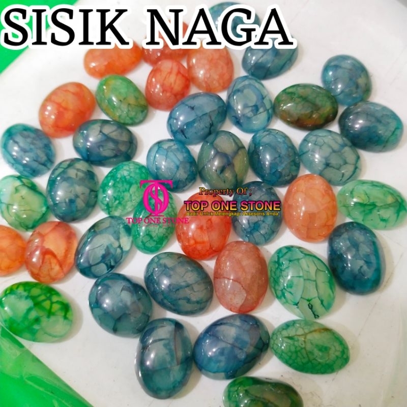 Jual [TOS] NATURAL SISIK NAGA SUKABUMI | Shopee Indonesia