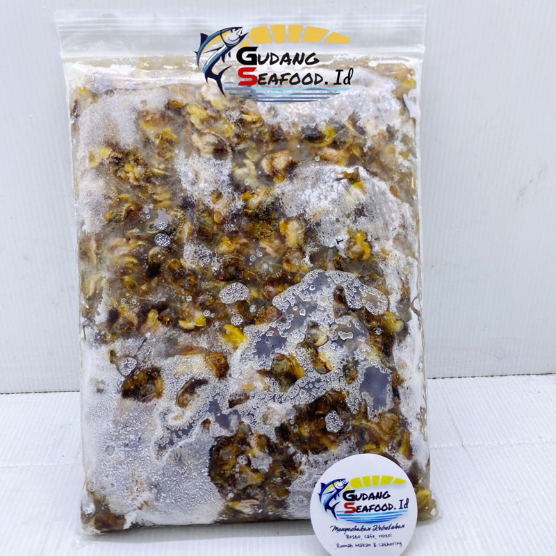 Jual Daging Kerang Kasar 500 gram | Shopee Indonesia