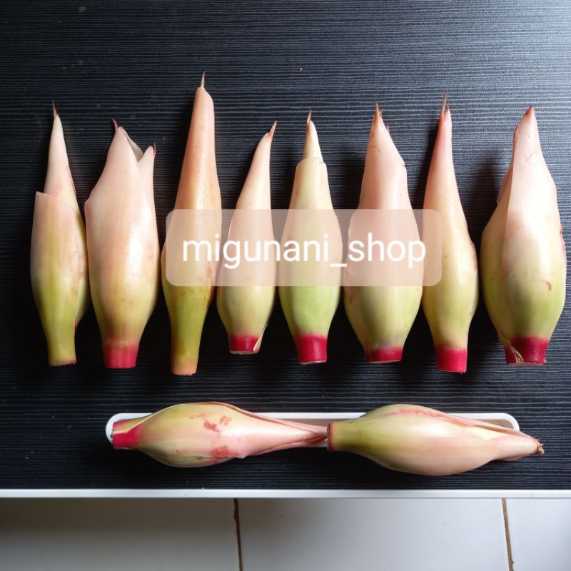 Jual bunga kecombrang 1kg tanpa batang full kecombrang fresh organik ...