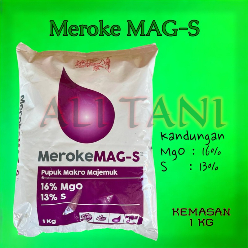 Jual MAG-S Kemasan 1 Kg Pupuk Magnesium Sulfat Bahan Nutrisi Hidroponik ...
