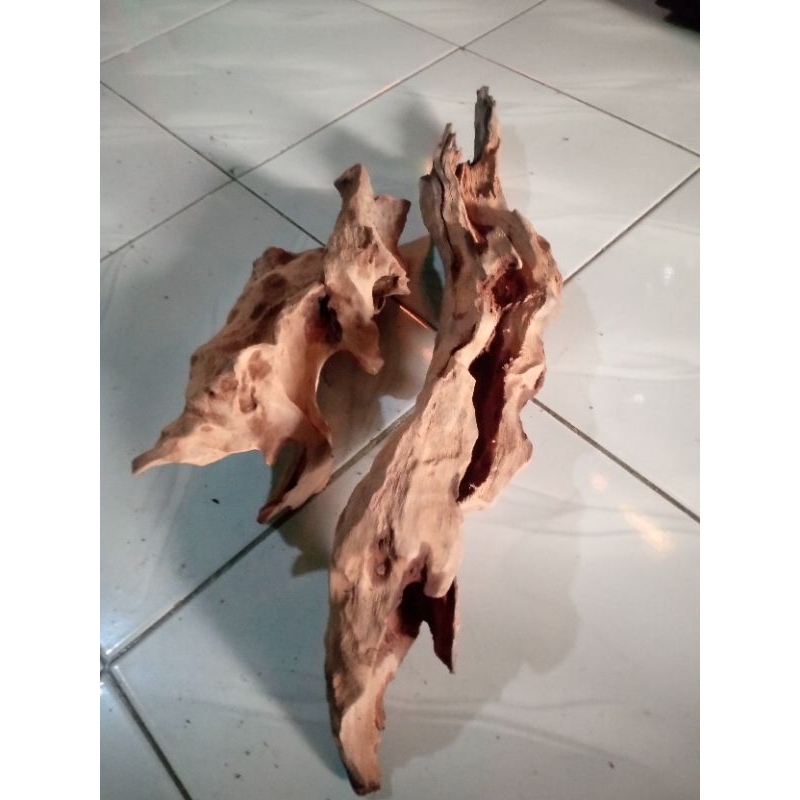 Jual kayu rentek mala posil dekorasi akuariyum | Shopee Indonesia