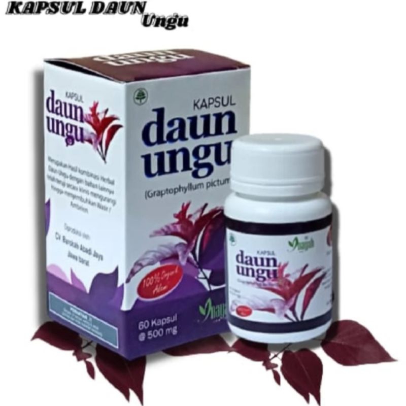 Jual DAUN UNGU BPOM ISI 50 KAPSUL BERKHASIAT AMPUH | Shopee Indonesia