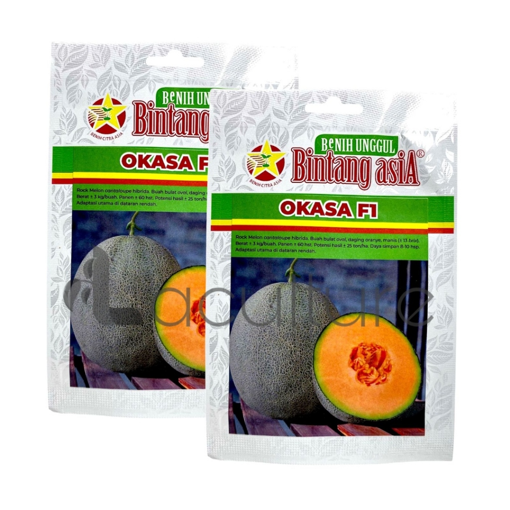 Jual Benih Melon OKASA F1 Isi 0.5 gram Benih Bintang Asia | Shopee ...