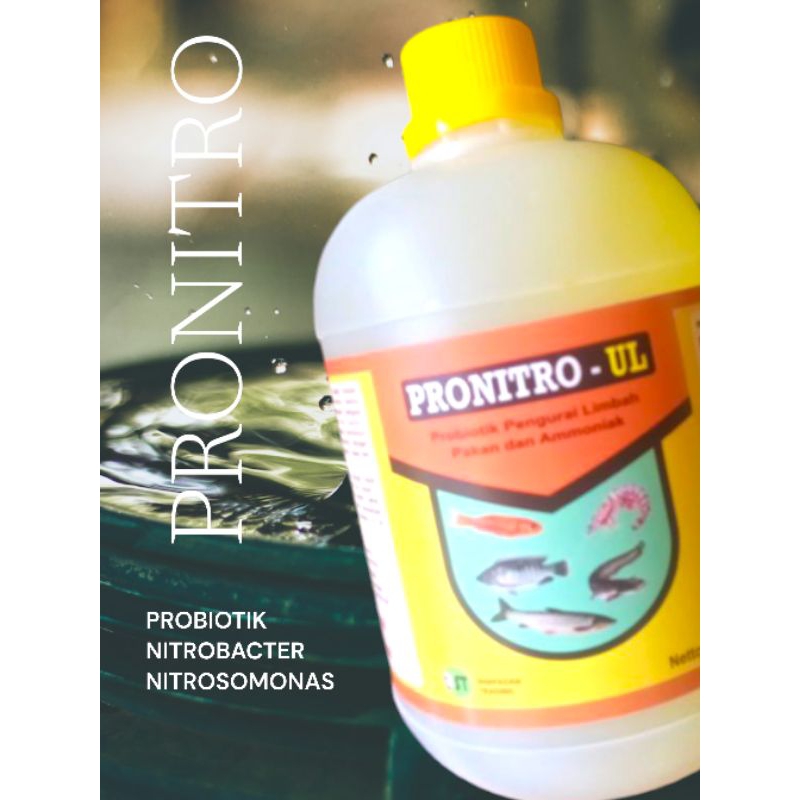 Jual Probiotik Ikan Lele Nila Mas Patin Bandeng Ikan Hias PRONITRO UL 1liter | Shopee Indonesia