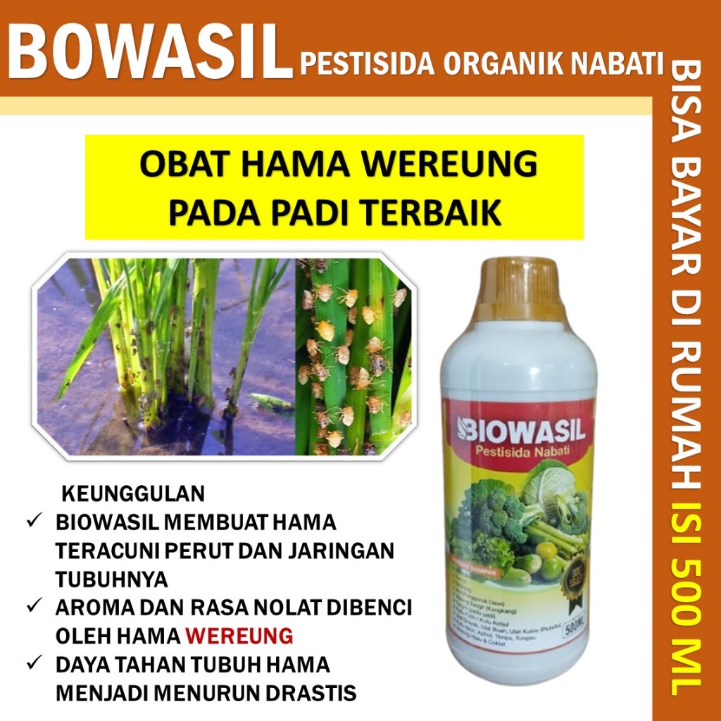 Jual Obat Semprot Hama Wereng Padi BIOWASIL 500 ML Pestisida Organik ...