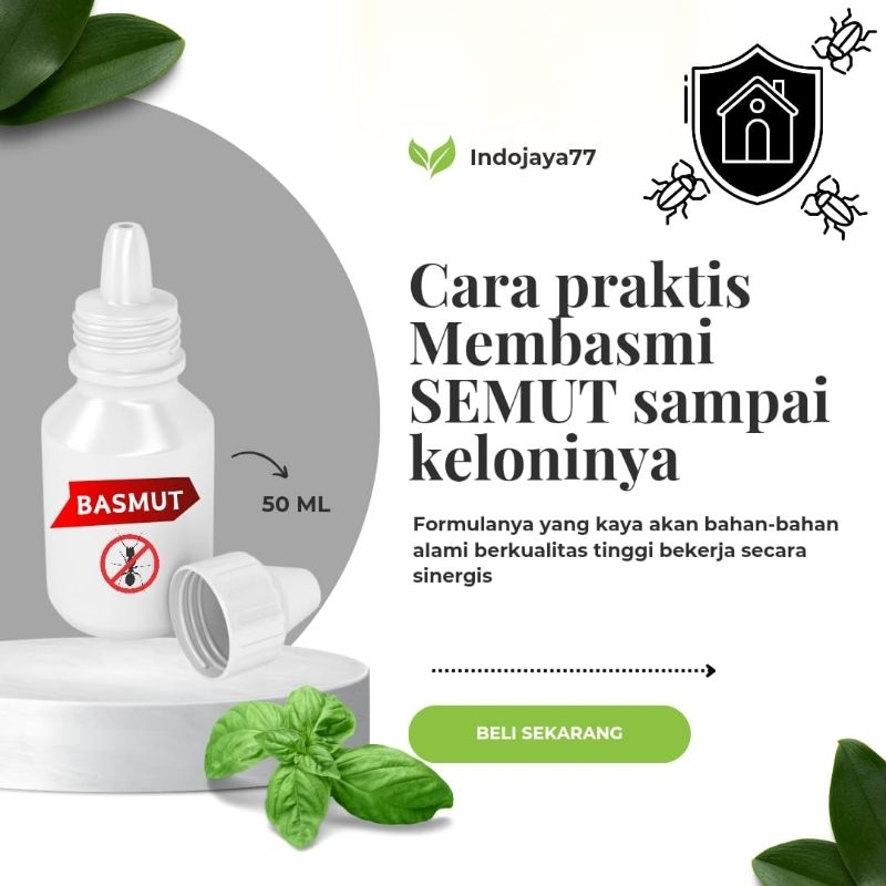 Jual BASMUT pengendali semut dan kecoa sampai kekloninya ampuh dan ...