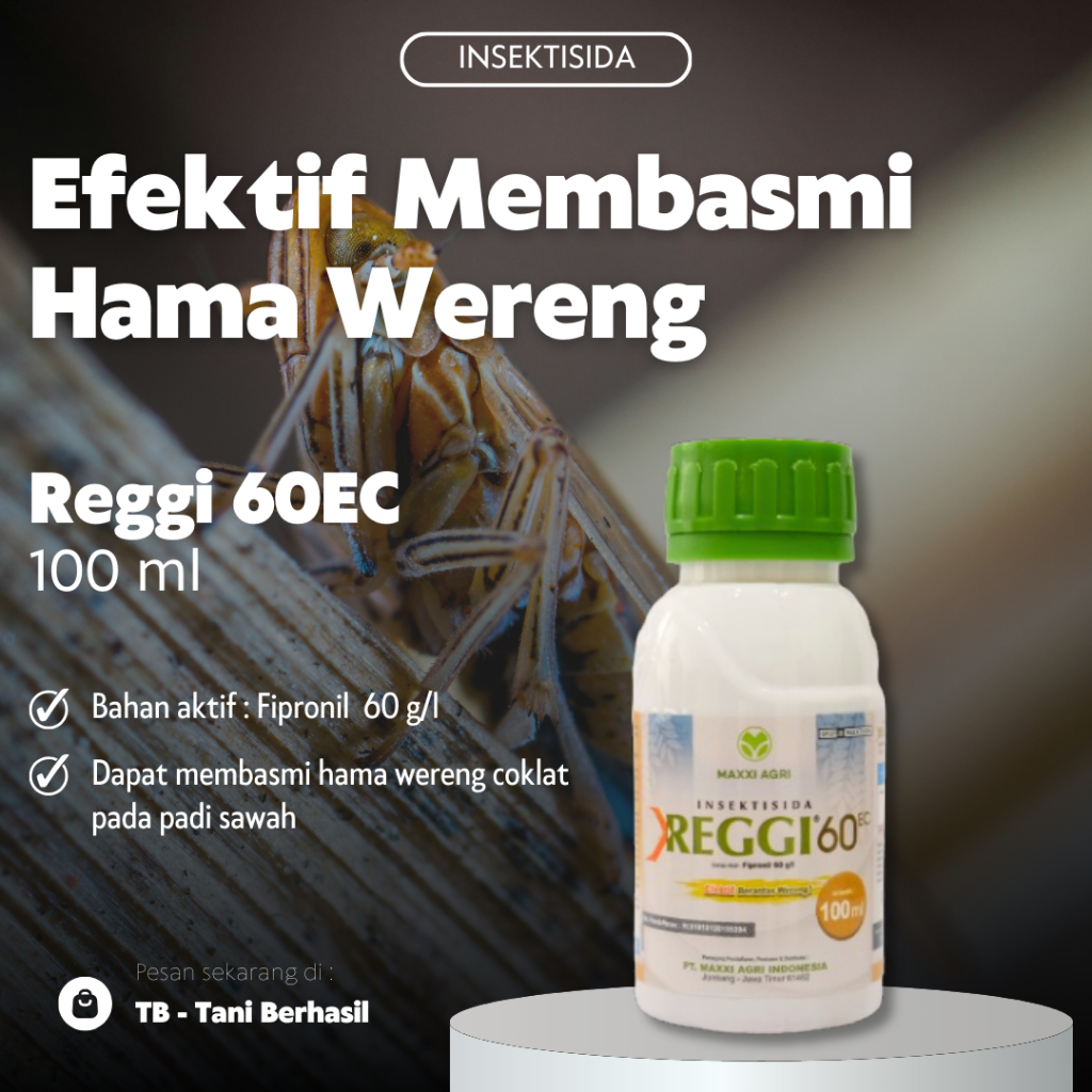 Jual Insektisida Reggi 60 EC 100 ml, Efektif Membasmi Hama Wereng ...