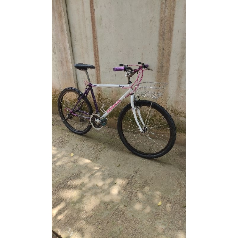Jual Sepeda Federal / Commuter Bike / MTB Vintage | Shopee Indonesia