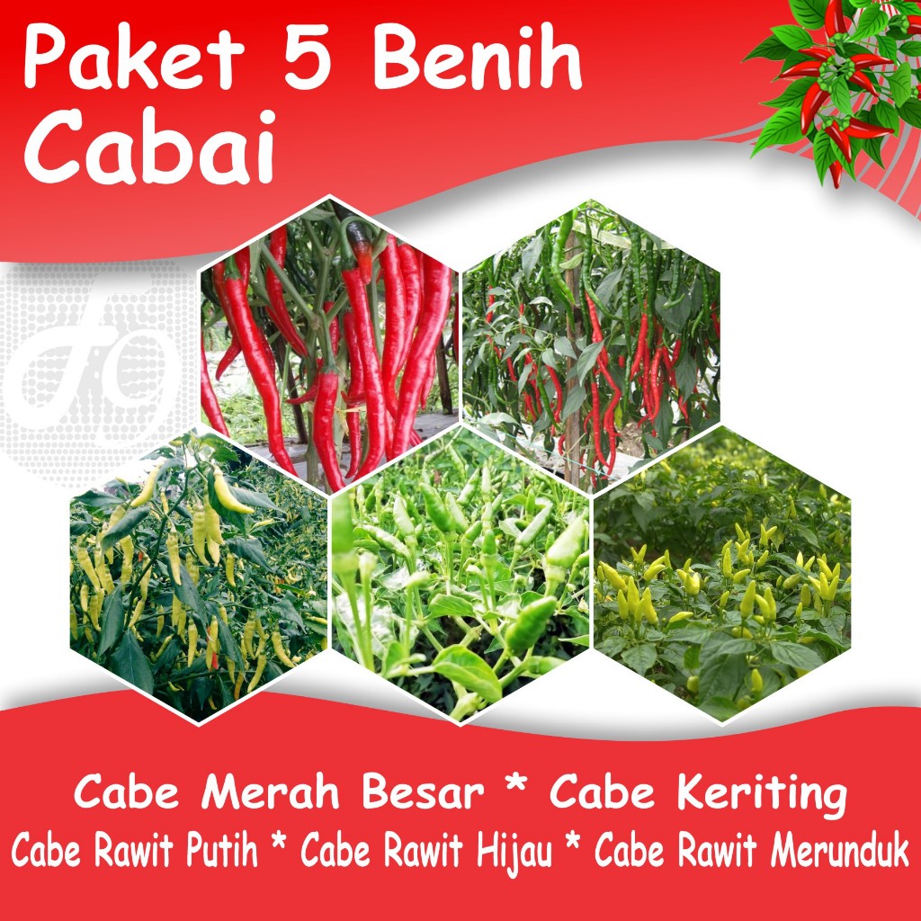 Jual Paket Benih Cabe 5 Jenis Bibit Sayuran Cabai Merah Besar Keriting ...