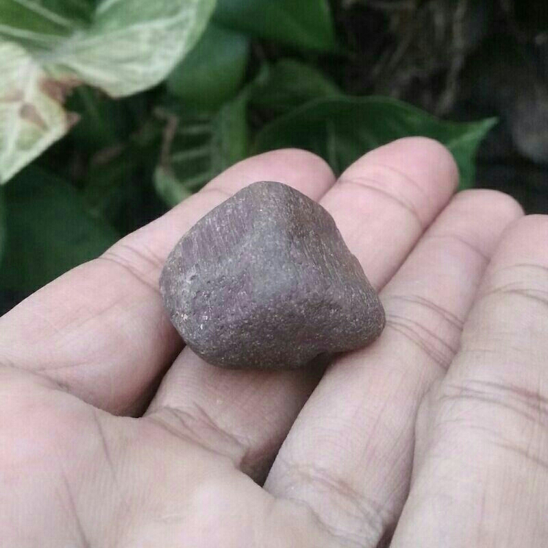 Jual FK03 Batu Bahan Akik Fosil Galih Kayu Petrified Wood Natural Alam ...