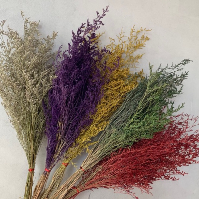 Jual Bunga Caspea/Caspia Kering Dried Flower Dry Flower Bunga Kering ...