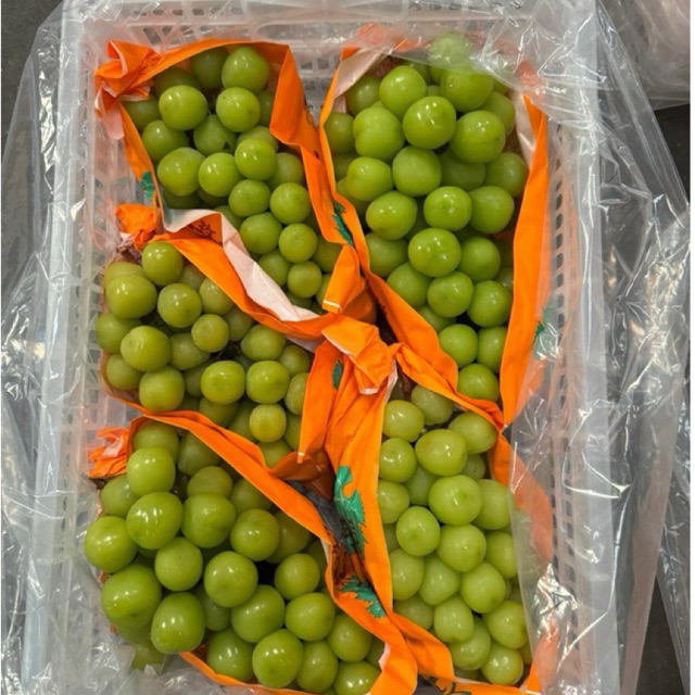 Jual BUAH anggur muscat shine 1000gram fresh PROMO!! | Shopee Indonesia
