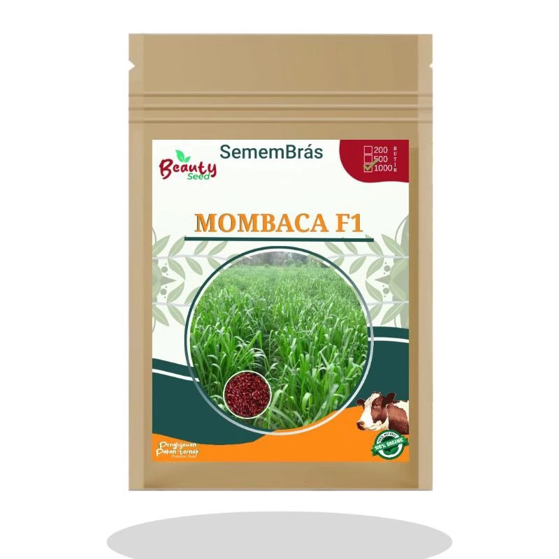 Jual 1000 Benih Biji Rumput Mombasa - Mombaca F1 ±1000 Biji Urban ...