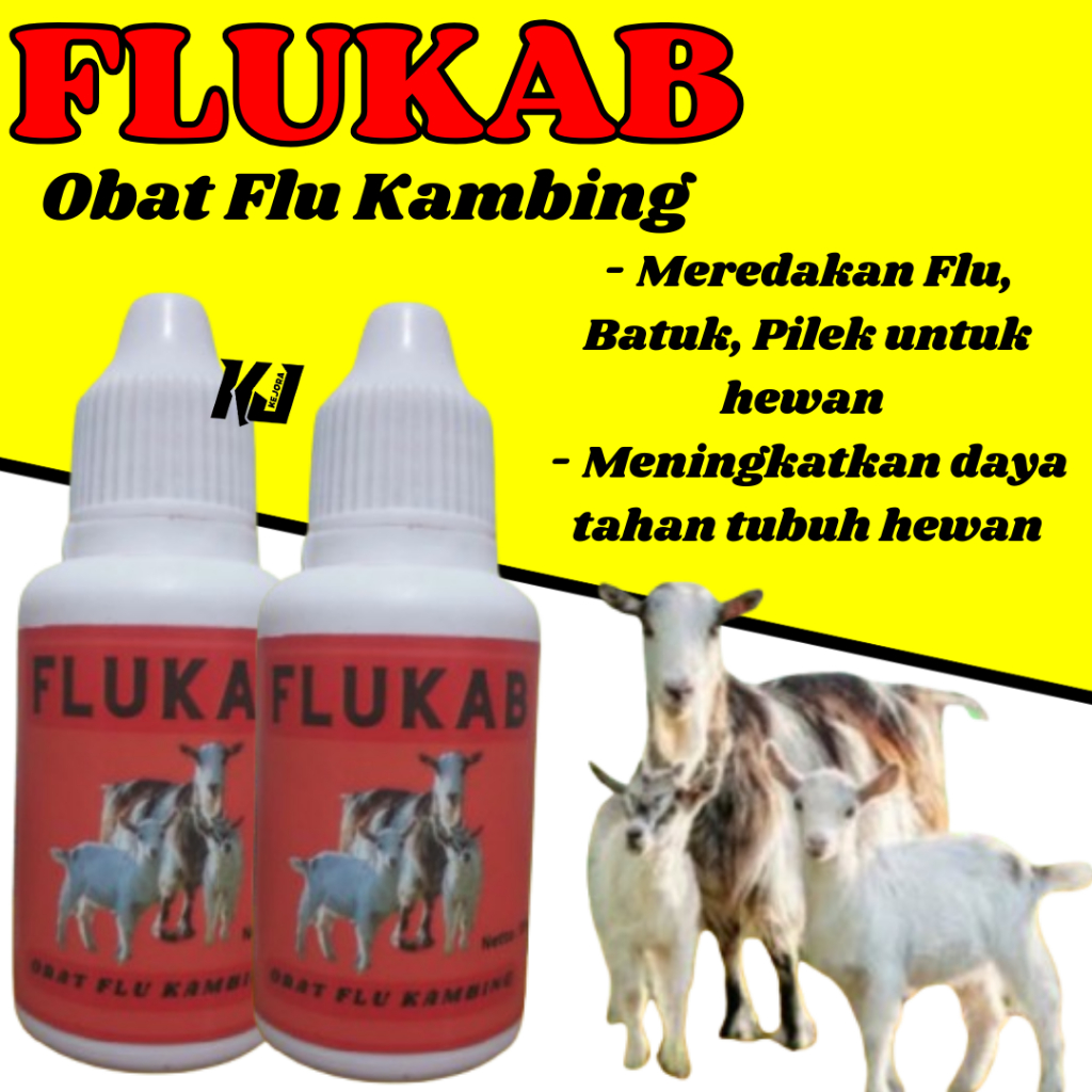 Jual Obat batuk kambing - Obat pilek kambing - Obat Pneumonia Ternak ...