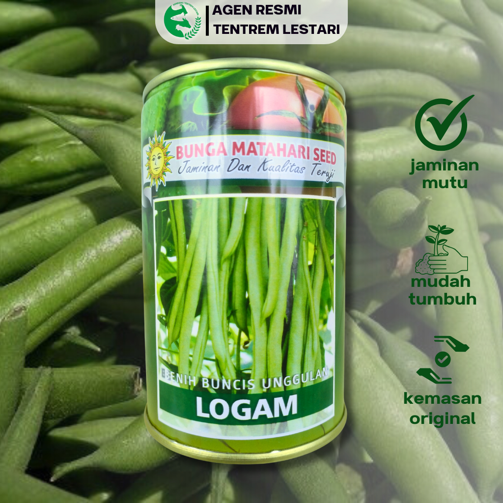 Jual Benih Buncis LOGAM 300 Gram Cap Bunga Matahari Buah Tidak Mudah ...