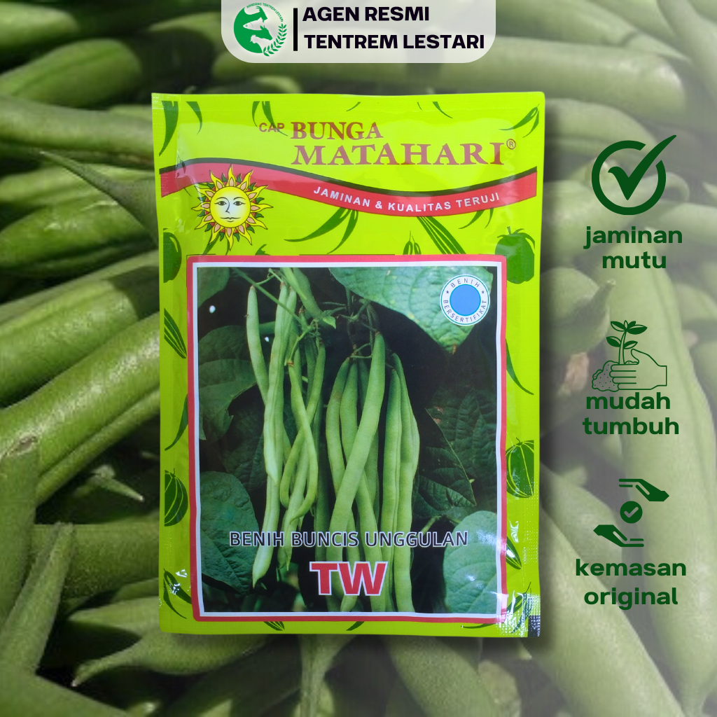 Jual Benih Buncis TW 500 gr Cap Bunga Matahari Lebat & Unggul | Shopee ...