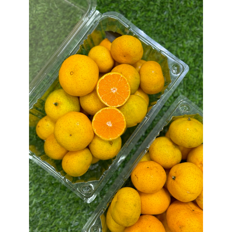 Jual Jeruk Shantang Polos 1 Kg | Shopee Indonesia