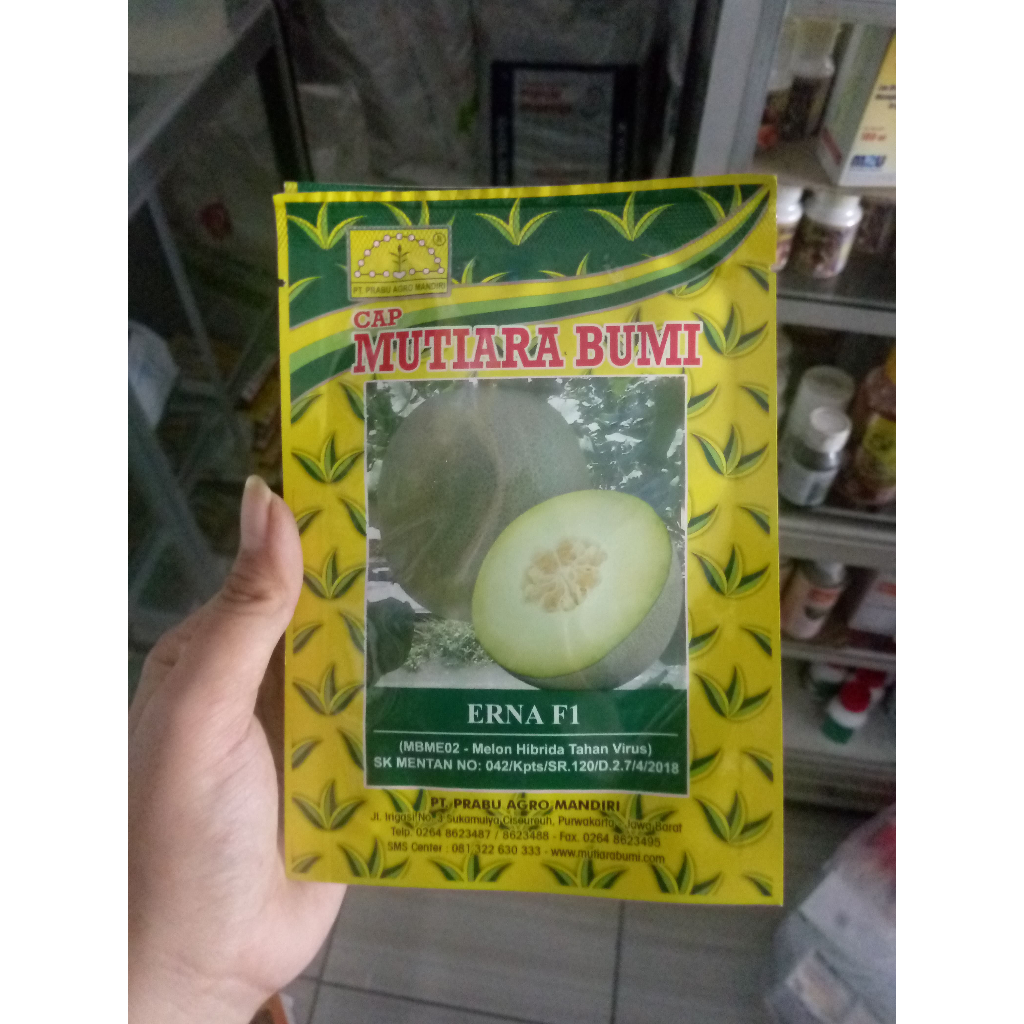Jual Benih Melon Hibrida Isi 10Gr ERNA F1 Cap Mutiara Bumi | Shopee ...