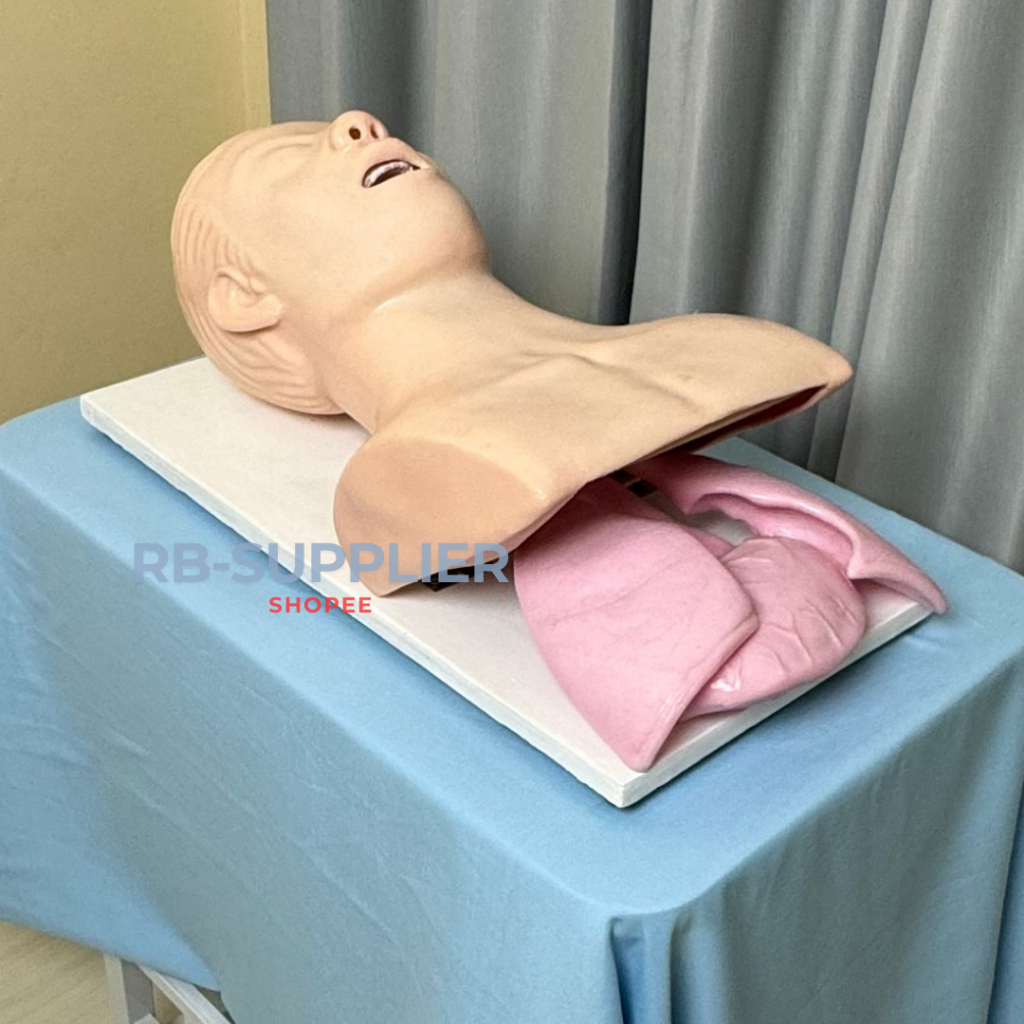 Jual Intubasi-Phantom Manikin/Manekin ETT/Airway-Endotracheal Tube-Alat ...