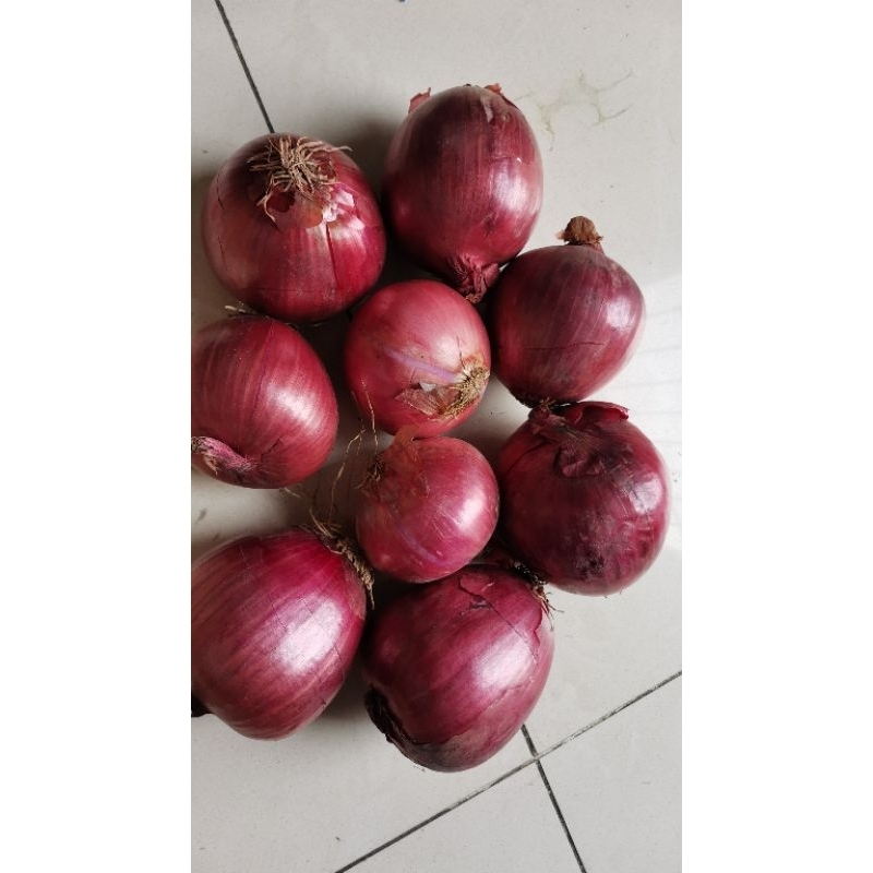 Jual Red Onion - Bawang Bombay Merah - Bombay Ungu - Bawang Merah India ...