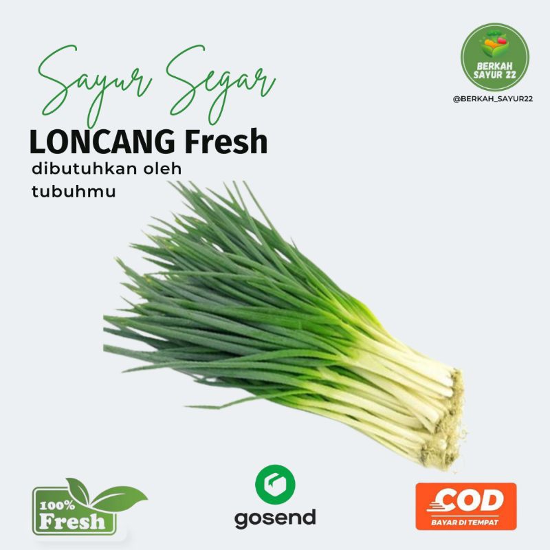 Jual BERKAH_SAYUR22 Loncang fresh | Shopee Indonesia