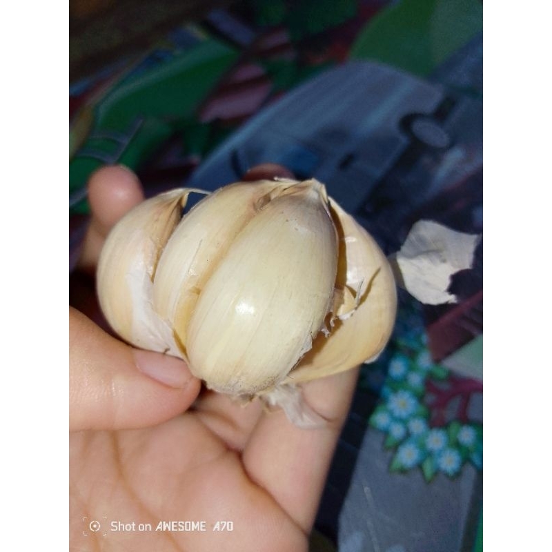 Jual Pupuk Urea Subsidi Isi 250 GR Kemasan REPACK Original 100 % By ...