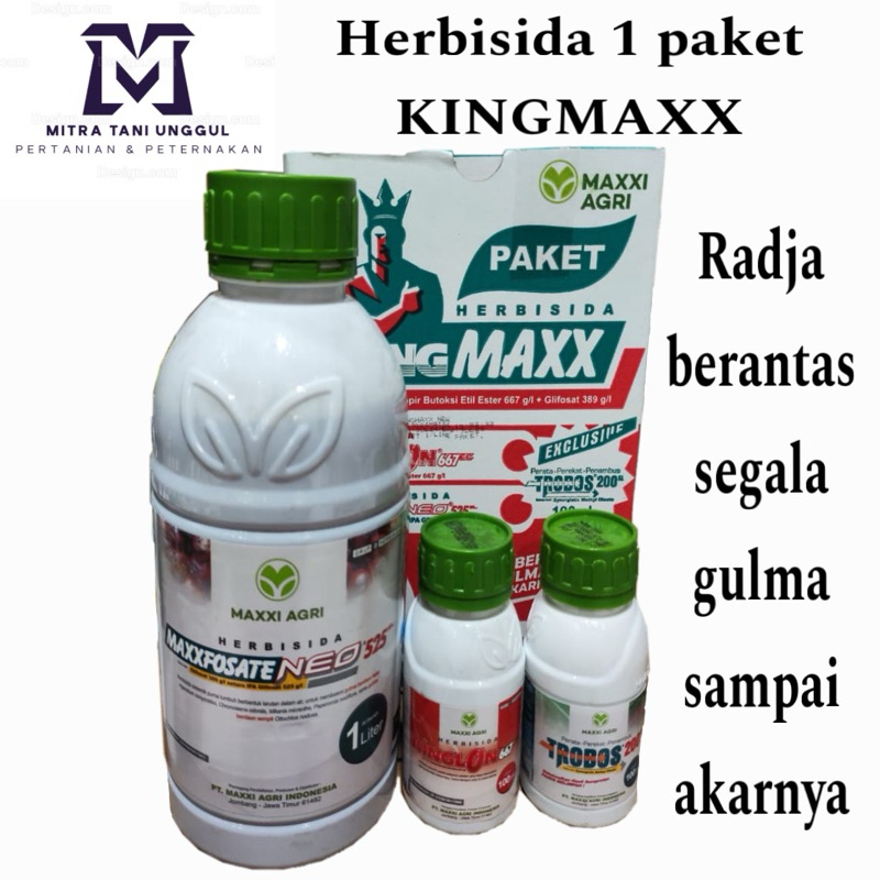 Jual Herbisida 1 paket KINGMAXX (Obat Rumput) | Shopee Indonesia