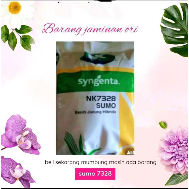 Jual benih jagung NK 7238 sumo kemasan 1kg | Shopee Indonesia