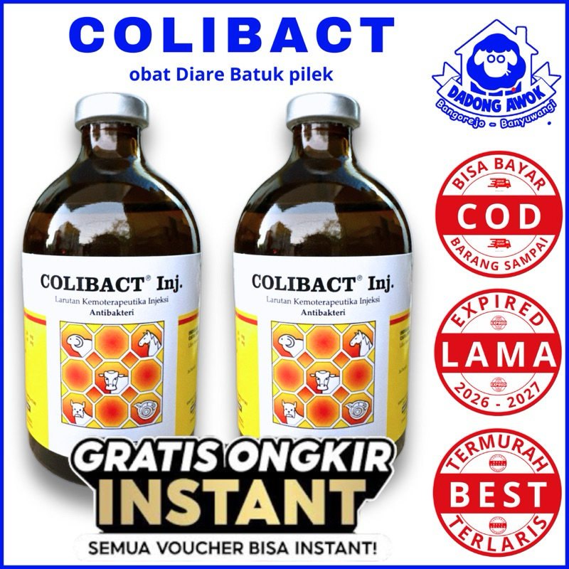 Jual COLIBACT injek 100ml Obat DIARE BATUK PILEK pernafasandan ...