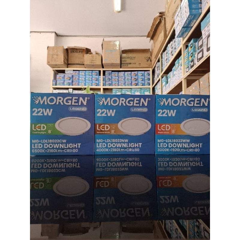 Jual LAMPU PANEL DOWNLIGHT LED 22W 22 WATT PUTIH, SEMI KUNING, KUNING ...