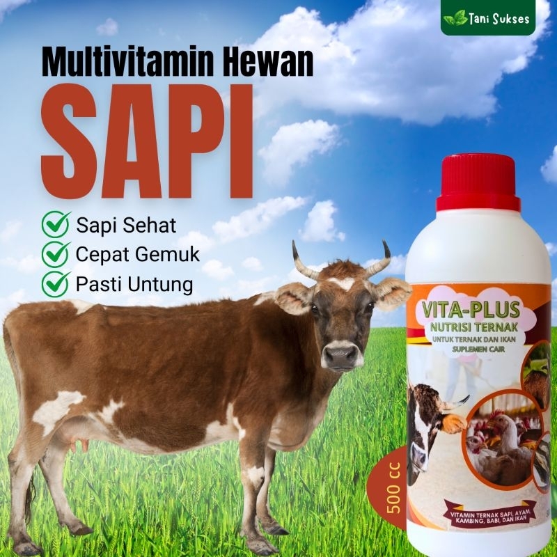 Jual Vita plus Vitamin Penggemuk Ternak Sapi | vitamin sapi agar cepat ...