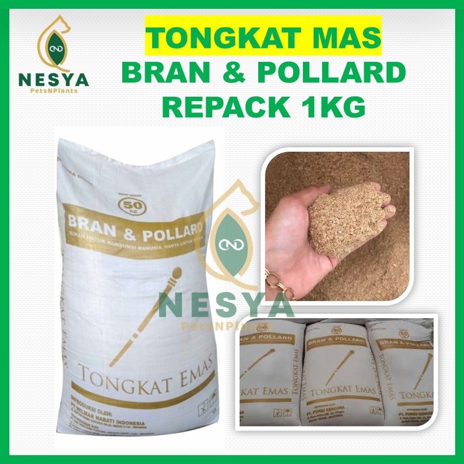 Jual Brand Pollard Tongkat Emas Cap Angsa Repack 1kg Polar Pakan Sapi ...