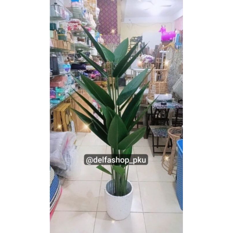 Jual pohon daun pisang runcing latex rimbun (chat Admin sebelum CO ...