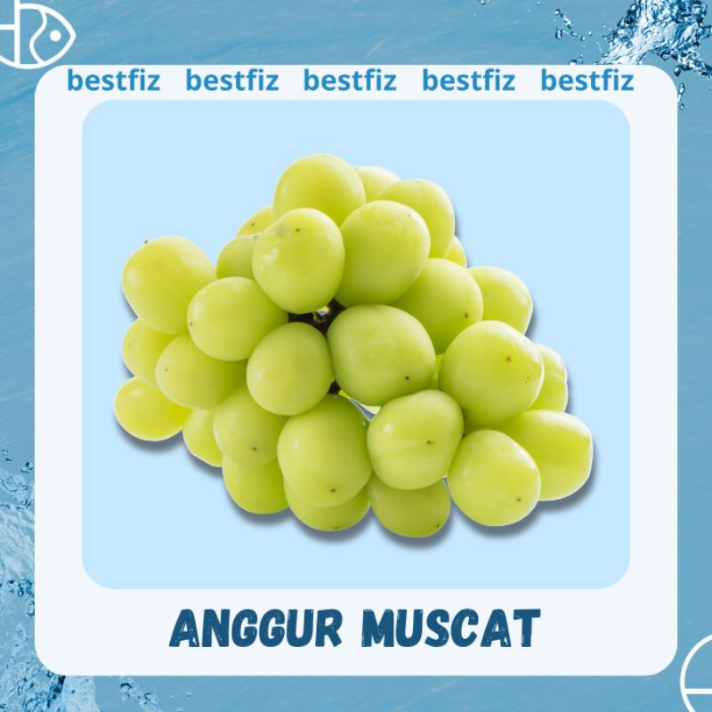 Jual Anggur shine muscat | Shopee Indonesia