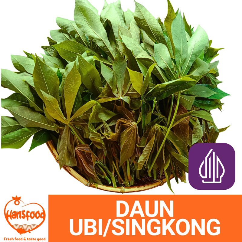 Jual DAUN UBI / DAUN SINGKONG 1 IKAT | Shopee Indonesia