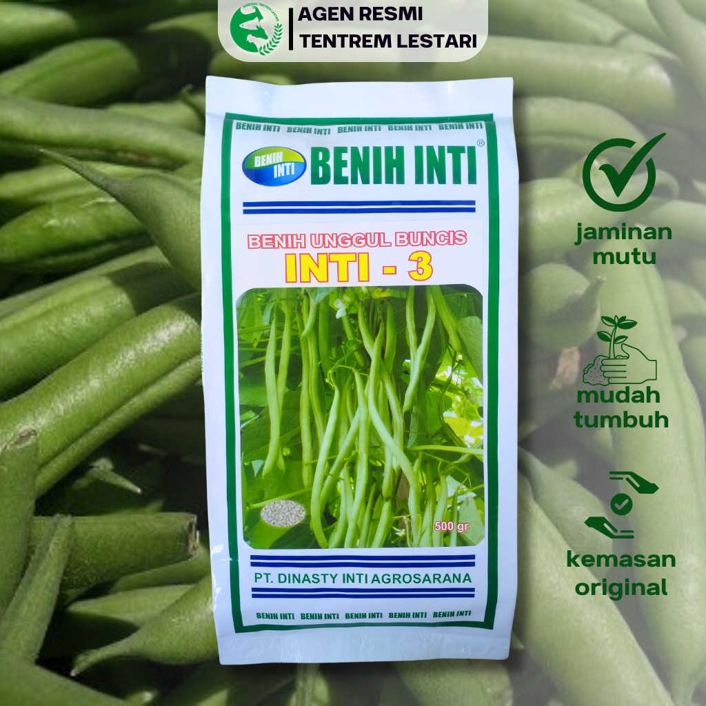 Jual Benih Unggul Buncis Biji Putih INTI 3 500 gr Cap BENIH INTI Tahan ...