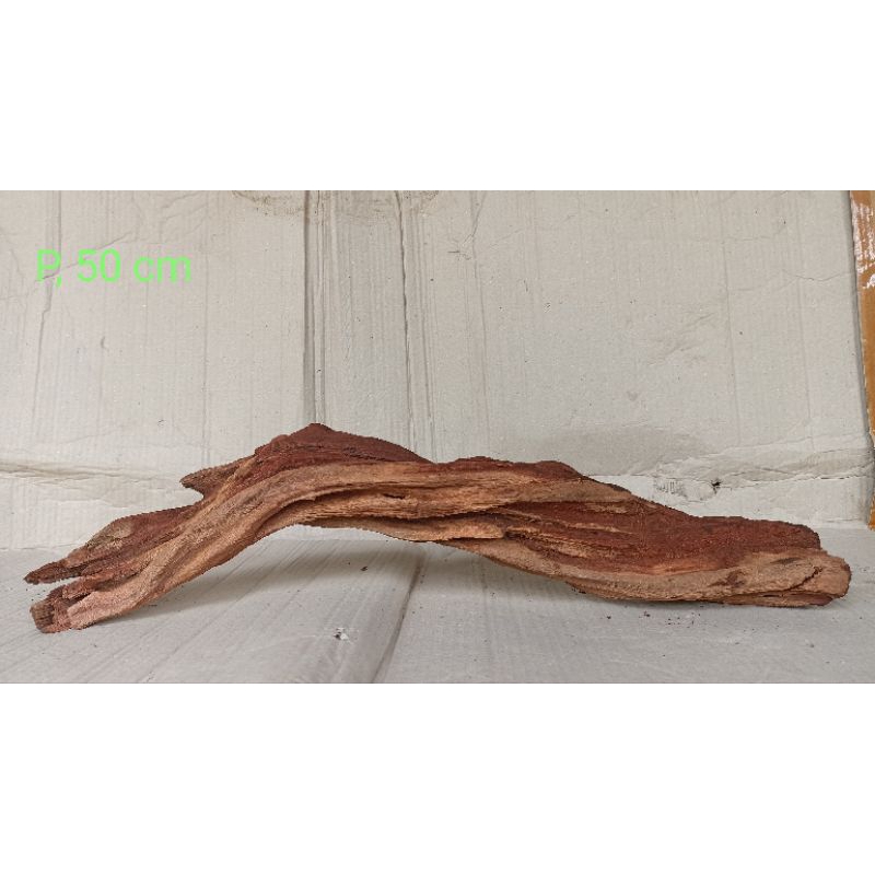 Jual Santigi Akar Panjang 50 cm | Shopee Indonesia