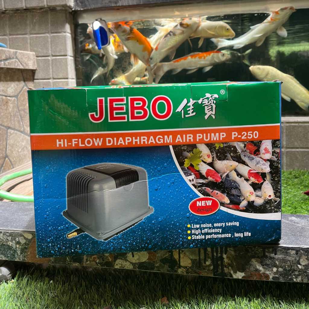 Jual Jebo P-250 Pompa Udara AirPump P250 High Power Oxygen Aerator ...