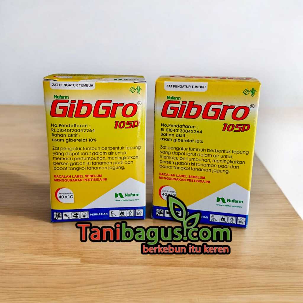 Jual GibGro 10 SP | Shopee Indonesia