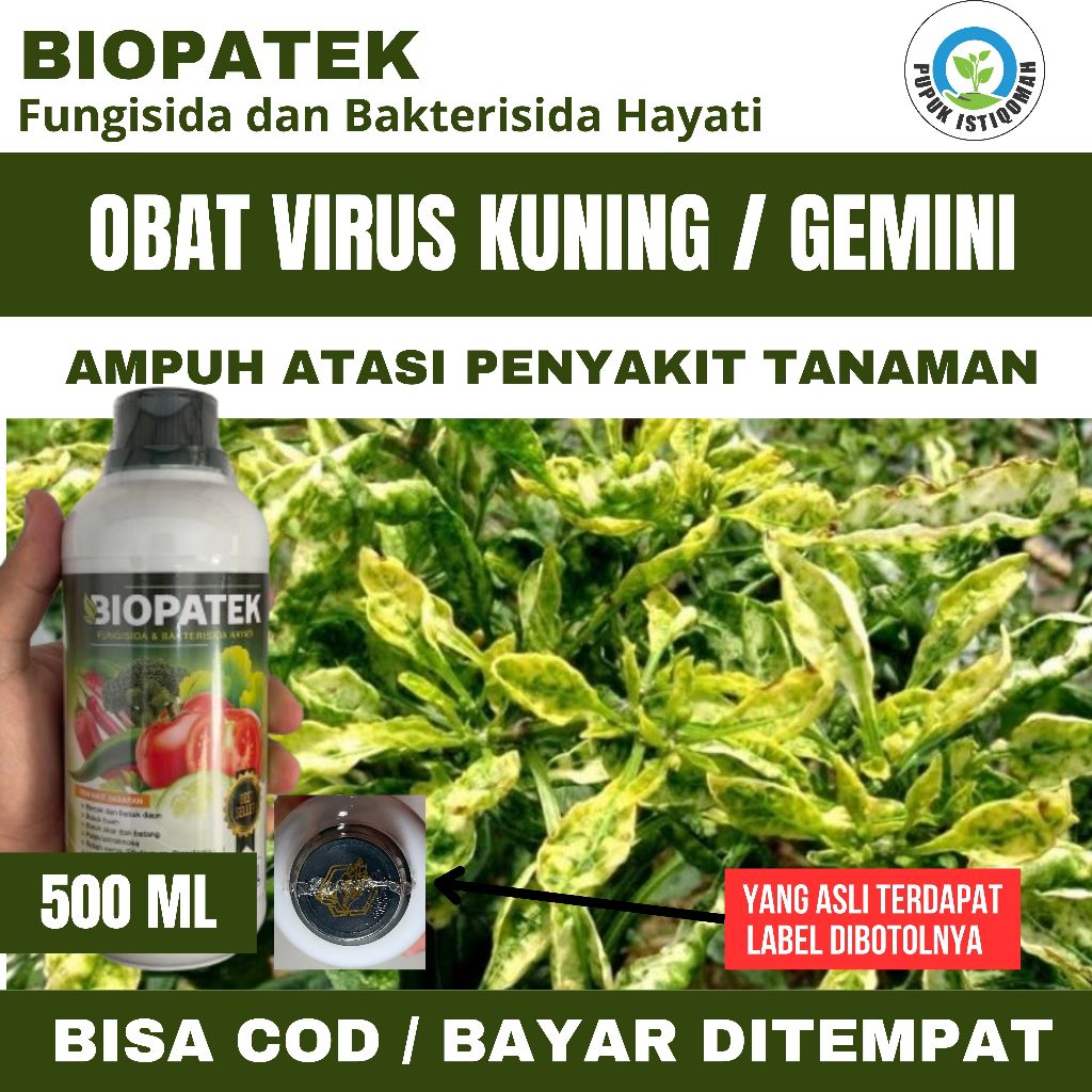 Jual BIOPATEK Fungisida Hayati Obat Virus Kuning Gemini & Keriting Daun ...